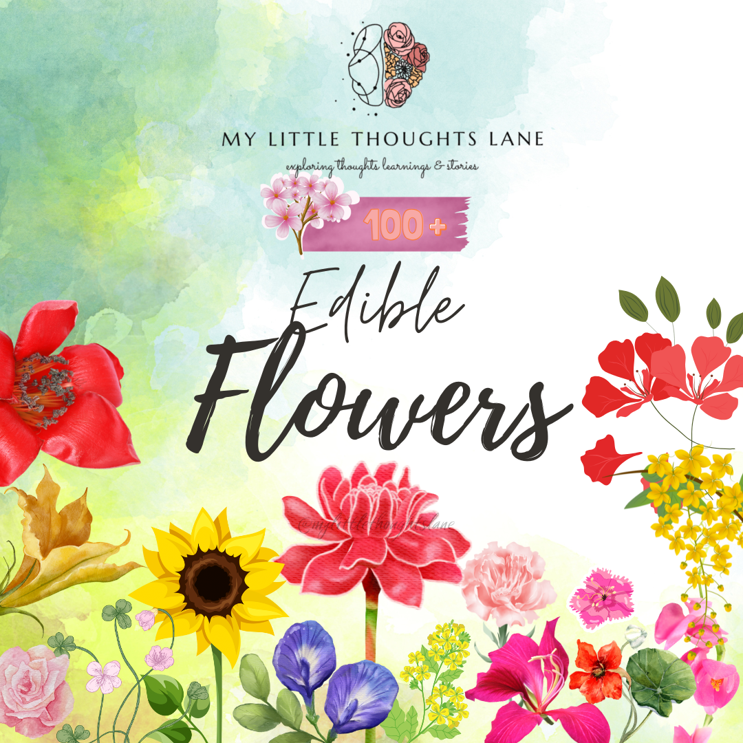 Blooming Delights: A Guide to Edible Flowers in India – MY LITTLE ...